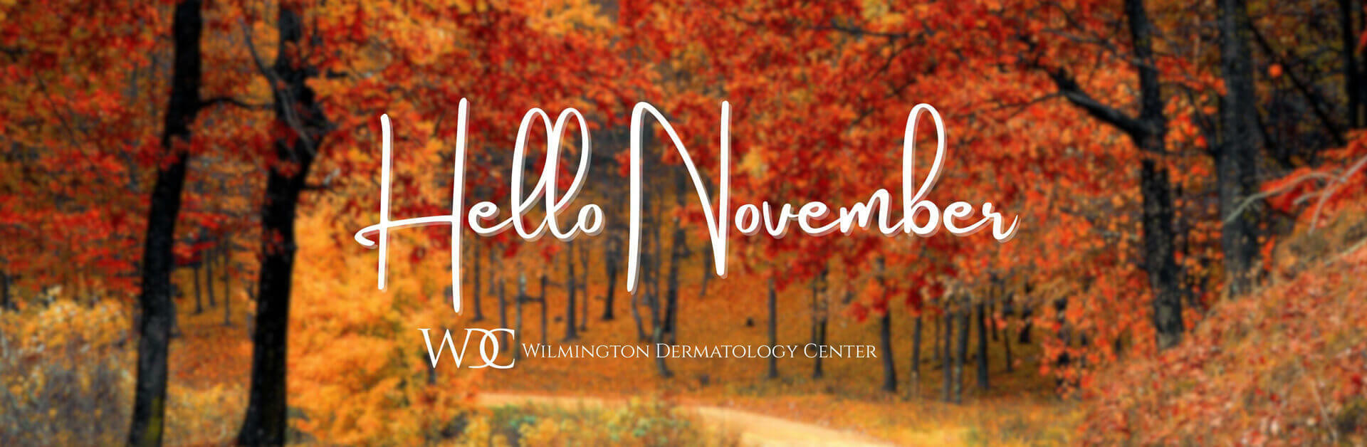 Hello November Cover Photos